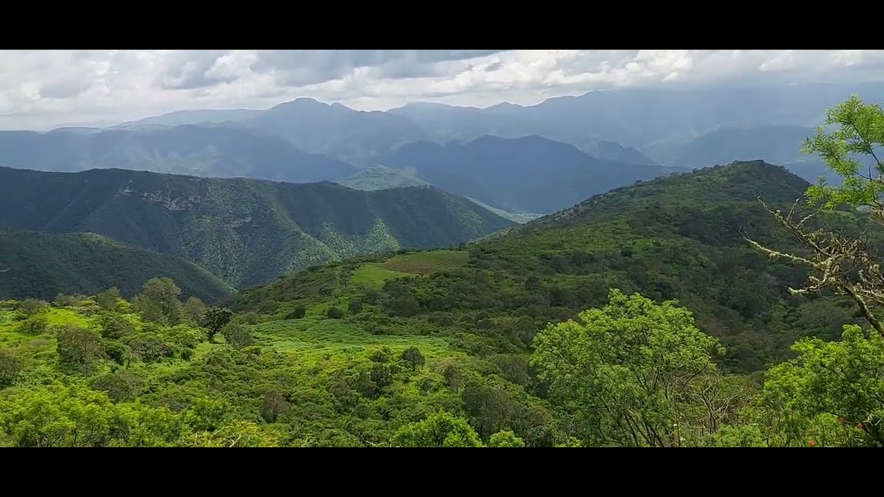 El Gavilán en el Rucio Xichú Guanajuato - YouTube