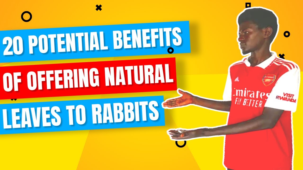 20 potential benefits of offering natural leaves to rabbits# ...