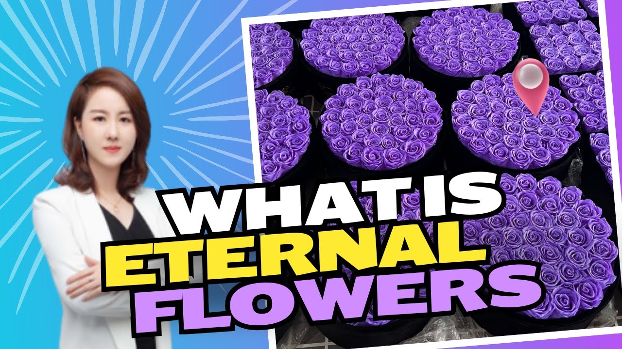 Everything You Need to Know About Eternal Flowers | Benefits & How They ...