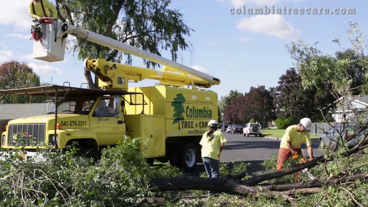 Columbia Tree Care - YouTube