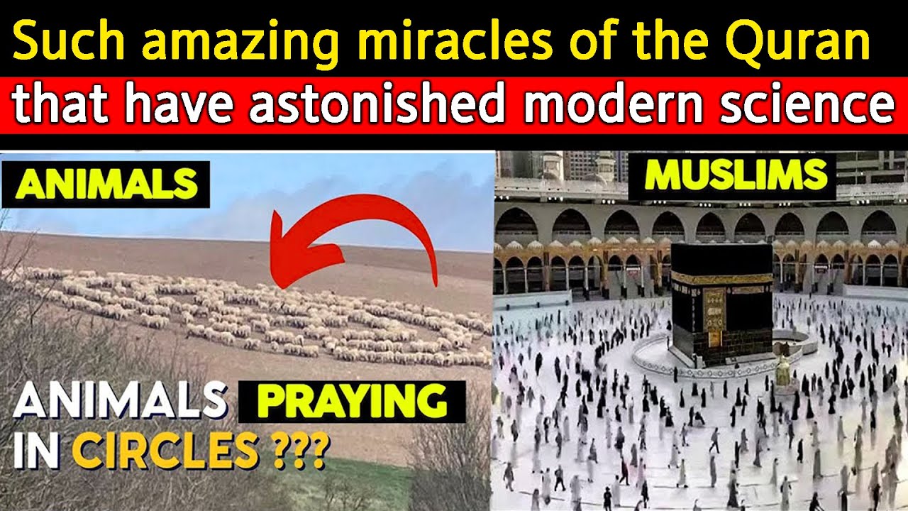 Shocking Miracles Of Quran That Have Proven By Science | Miracel Of ...