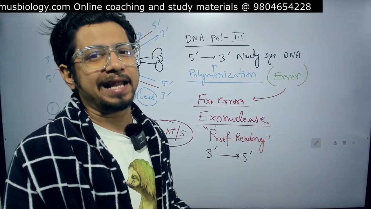 DNA polymerase 3 structure and function - YouTube