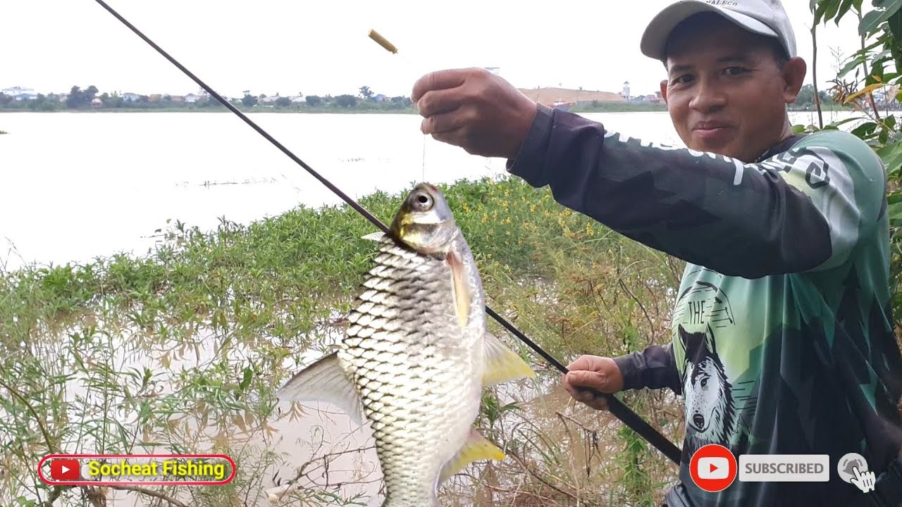 វាត់ឆ្ពិនទន្លេនុយ នំប៉័ង - Amazing hook fishing - Traditional hook ...