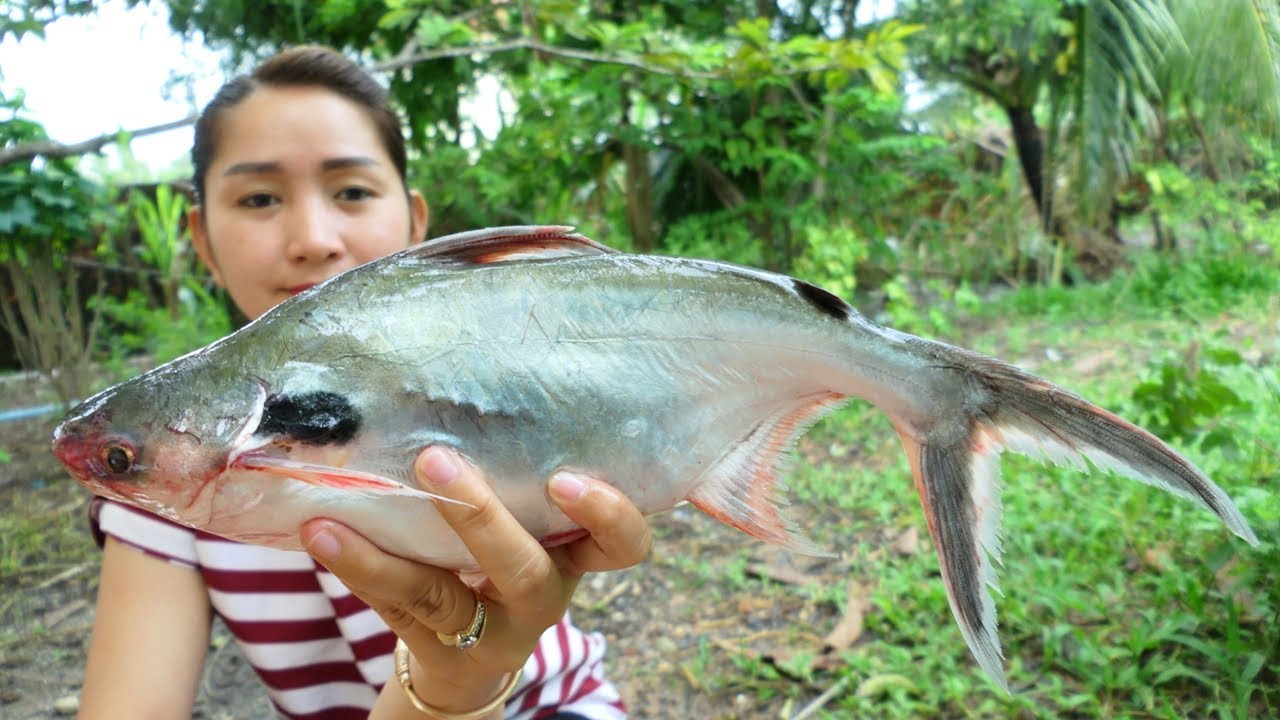 Yummy Fish Pounding Grocery Sour Soup - Fish Sour Soup - Yummy Cooking ...