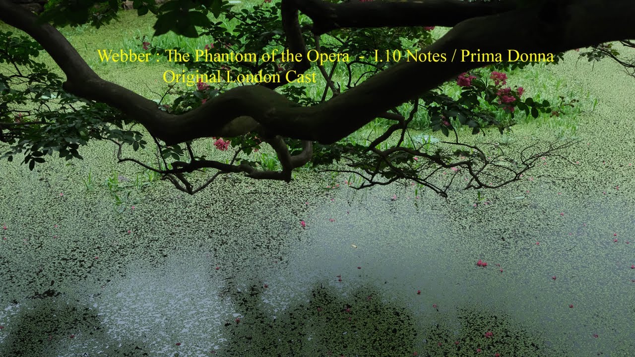 Webber : The Phantom of the Opera - I.10. Notes - Prima Donna - YouTube
