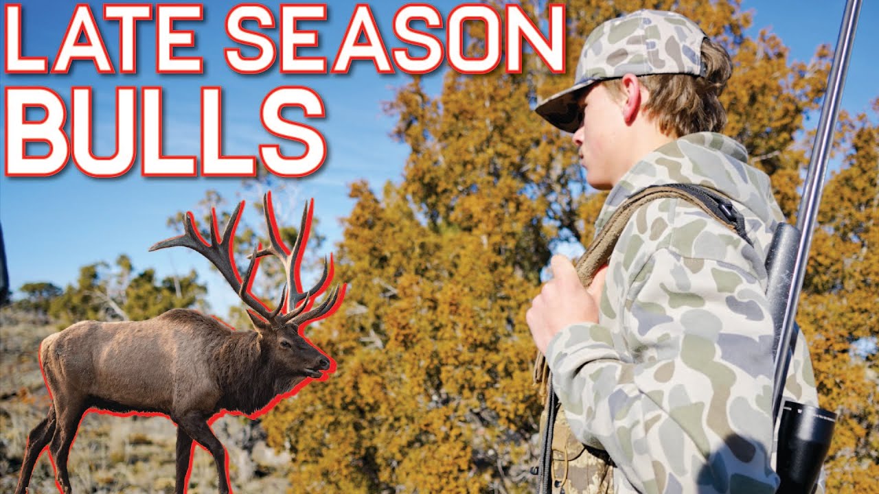 BIG Late Season BULL (Tough Lessons Learned) - YouTube
