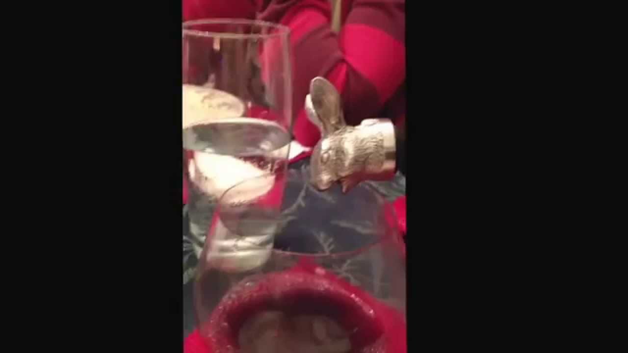 Rabbit, vomiting wine - YouTube