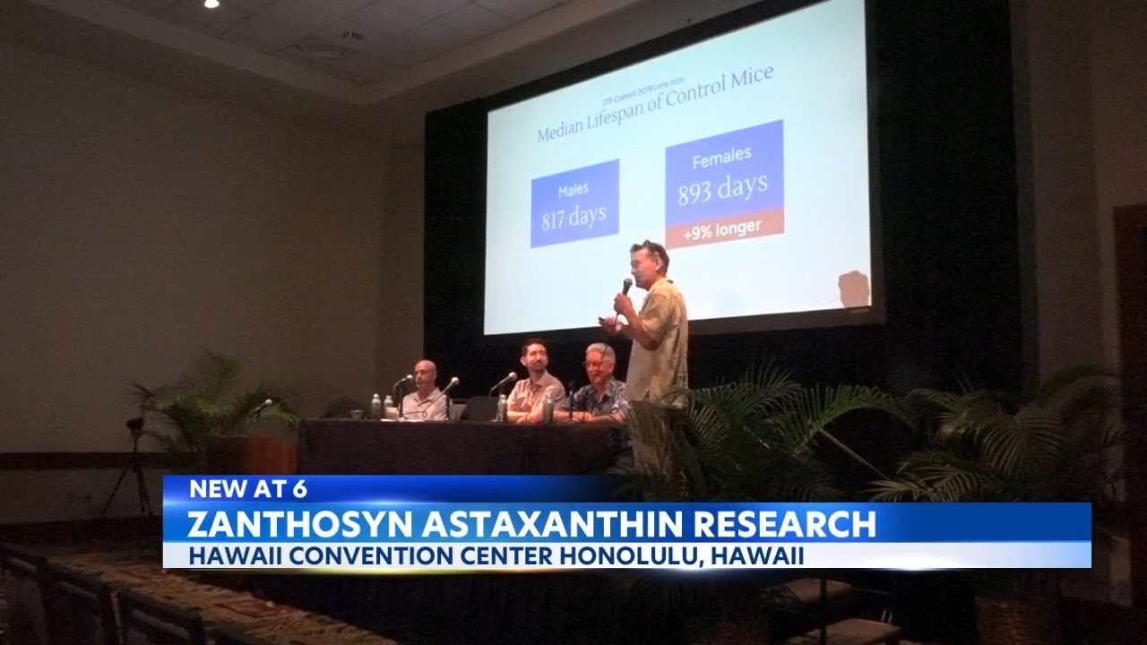 New research of Zanthosyn supplement, out of JABSOM, could stall aging ...