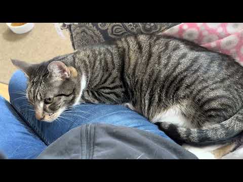 It Doesn't Take Much to Make Andy Purr!