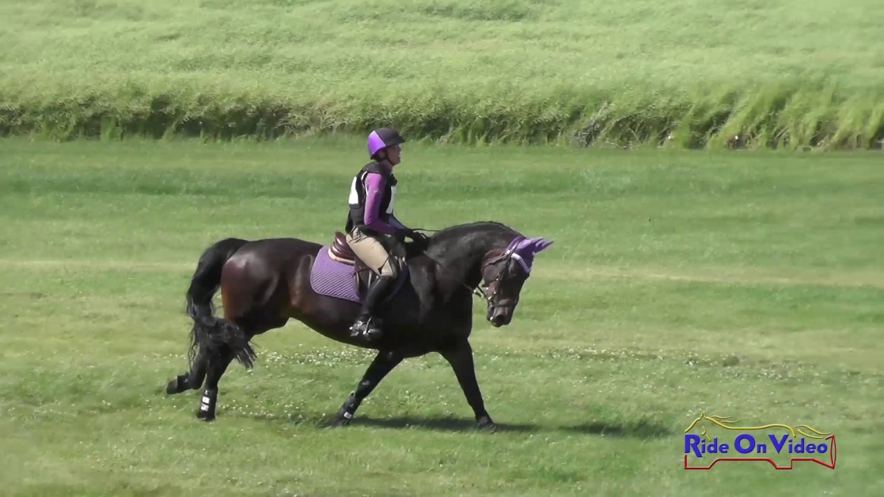 330XC Kelly Hageman on Mud Bay's Serenade SR Training Cross Country ...