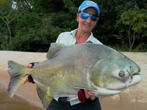 Pirapitinga Rio Teles Pires Bom de Pesca - YouTube