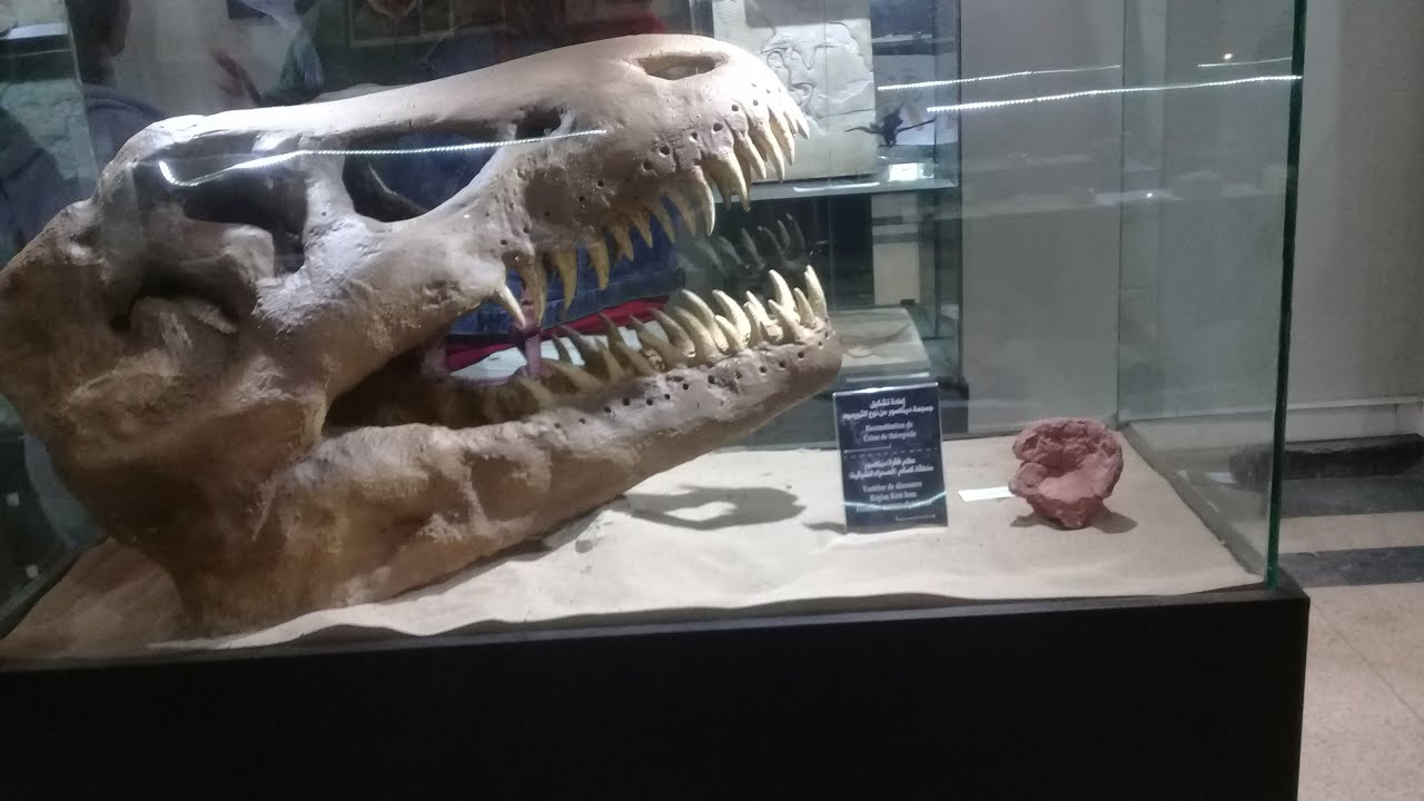 Tour of the Anza Museum Agadir - YouTube