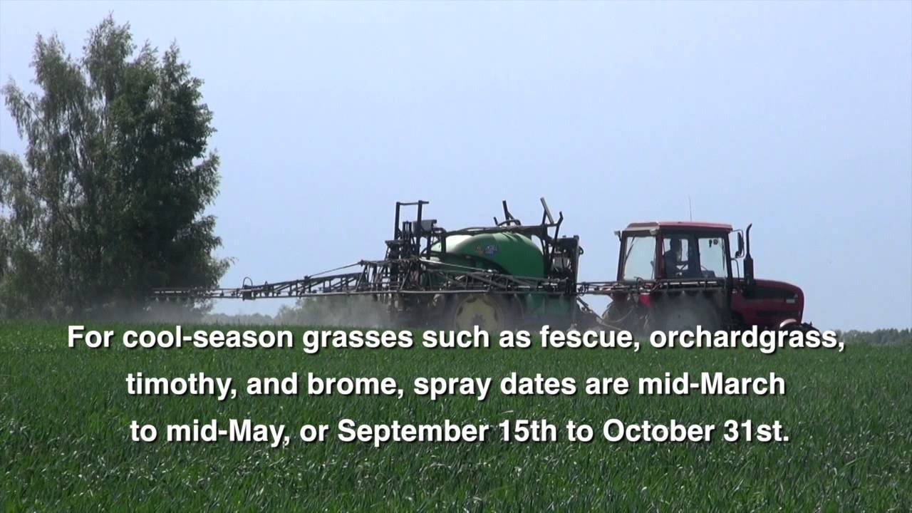 USDA Iowa Spraying for Mid-Contract Management in CRP - YouTube