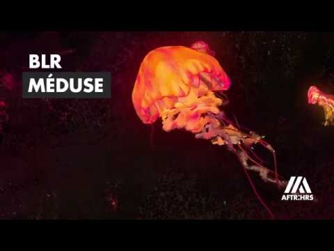 BLR - Méduse