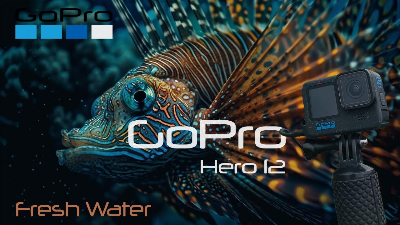 GoPro Hero 12 Exploring Underwater World I Freshwater Fish Footage ...