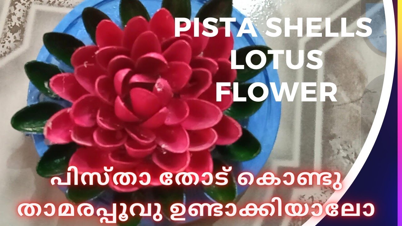 pista shell lotus|| Best out of waste - YouTube
