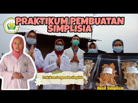 Praktikum Pembuatan Simplisia Nabati || STIKES Ibnu Sina Ajibarang ...