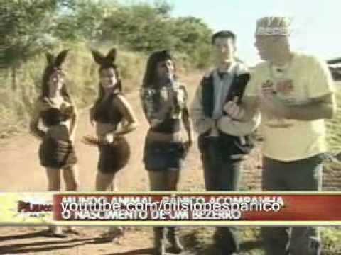Pânico Na TV 2006 - Bola, Solange e as Gostosas - Nascimento de um Bezerro