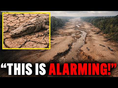 Footage From The Amazon River Revealed a 340-Mile Drought Zone Scientists Say Is Irreversible