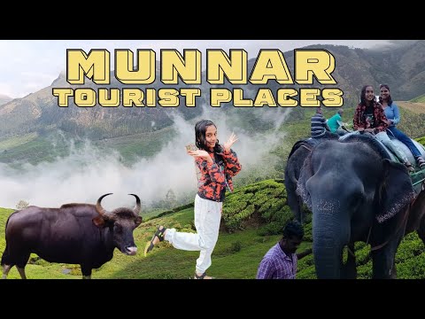 Munnar 2 Days Trip Details | மூணாறு சுற்றுலா | Munnar Tourist Places ...