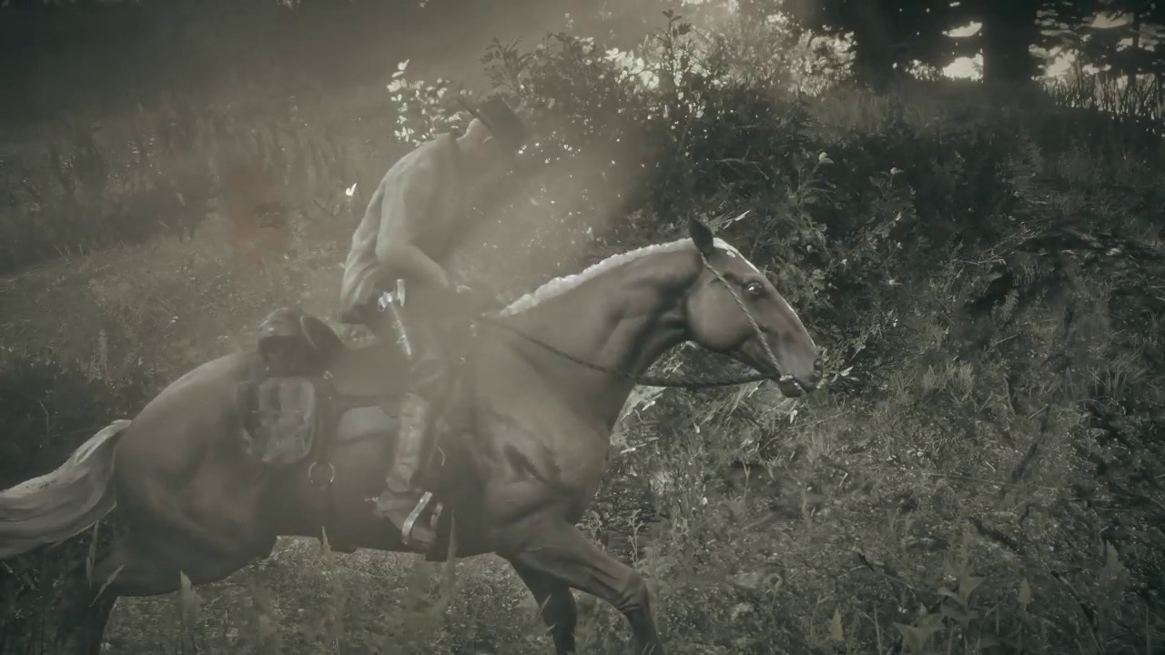 Red Dead Redemption 2 - Crazy Old Lady and her sons tries to kill you ...