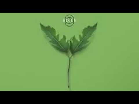 Halka Müzikleri - Aşk