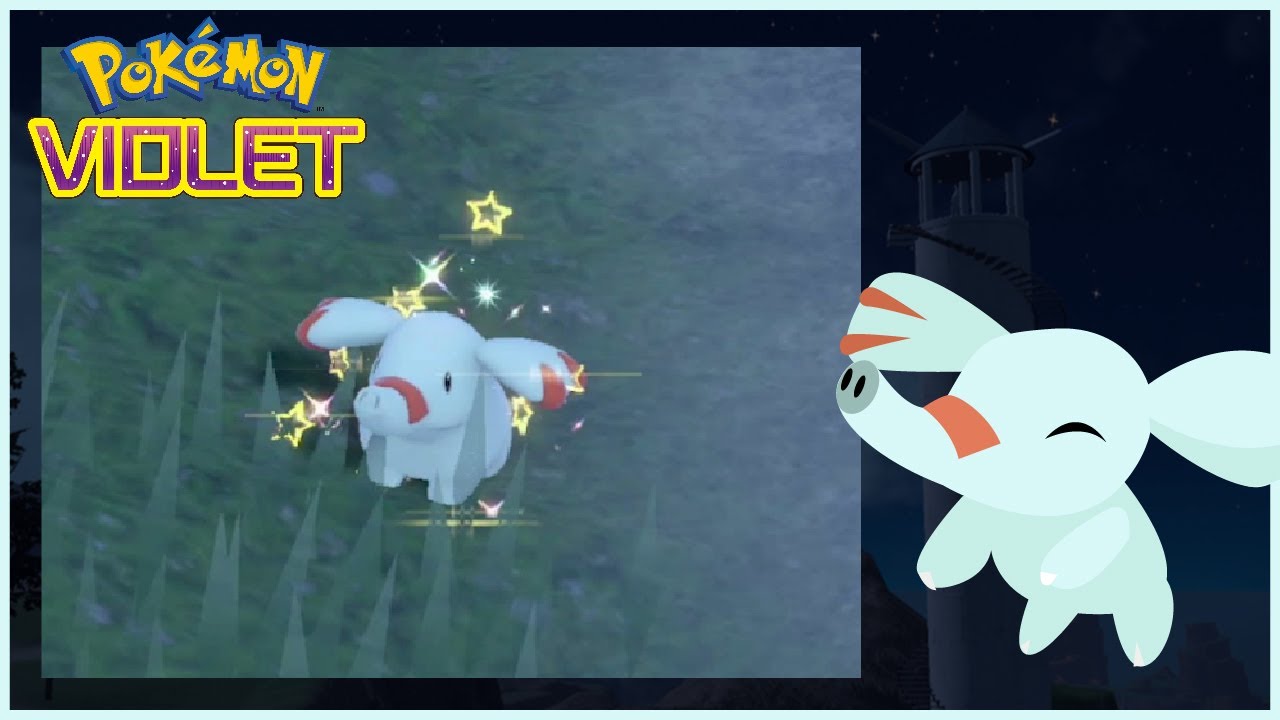 (LIVE) FULL ODDS Shiny Phanpy in Pokemon Violet [Phase 2] - YouTube