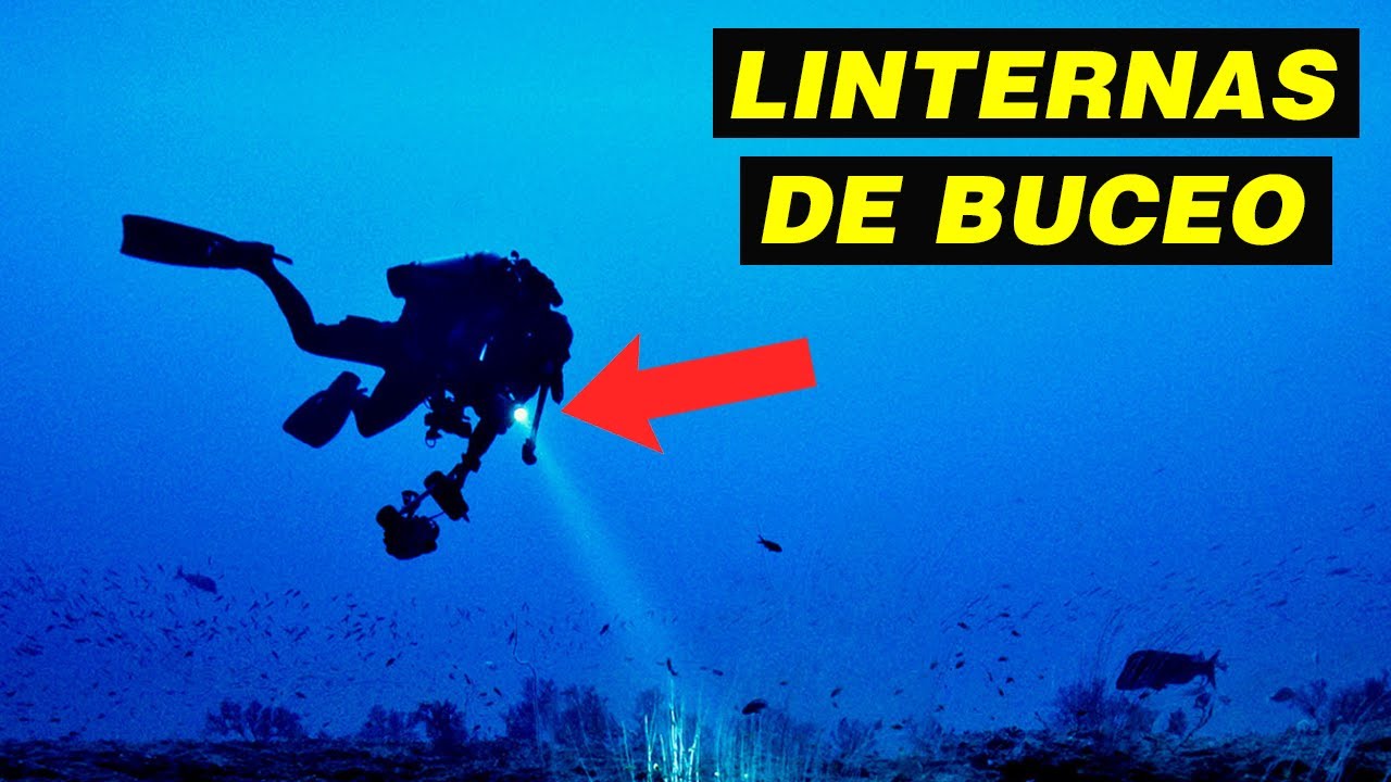 Cómo Escoger tu Próxima Linterna de Buceo + Mis 5 Linternas Favoritas ...