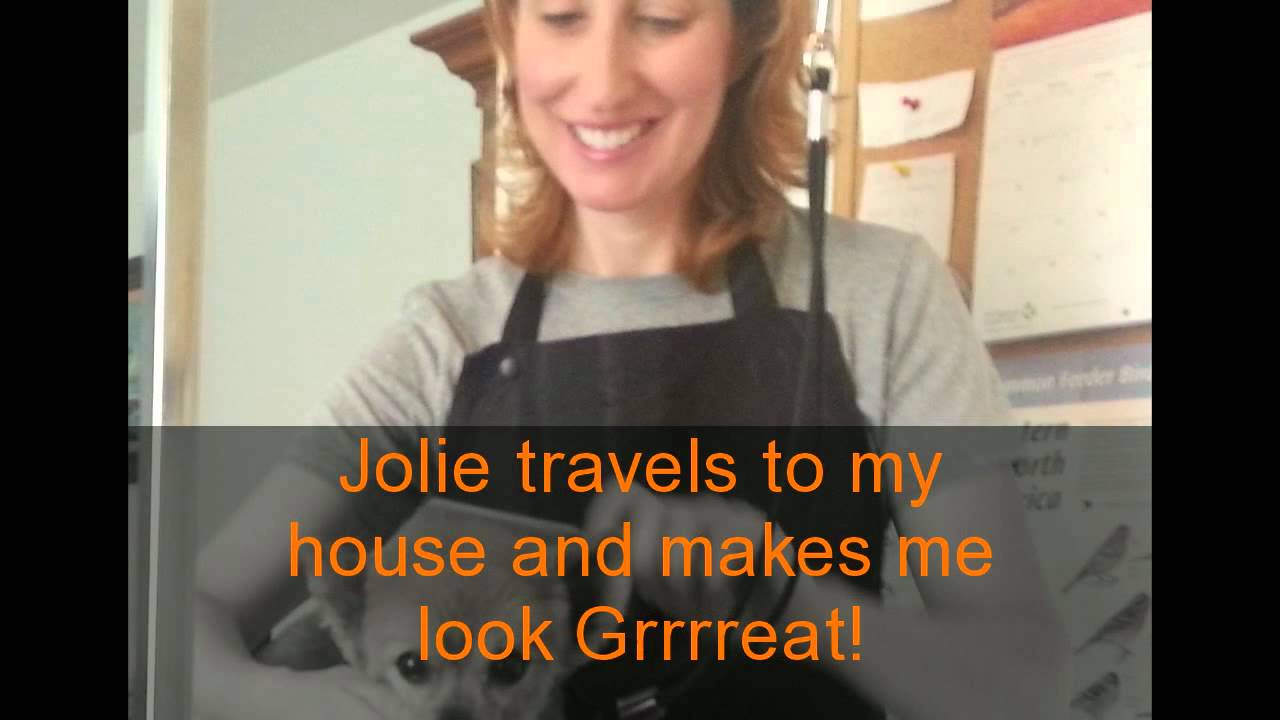 Dog Grooming Joli Tompkins Dog and Cat Care - YouTube
