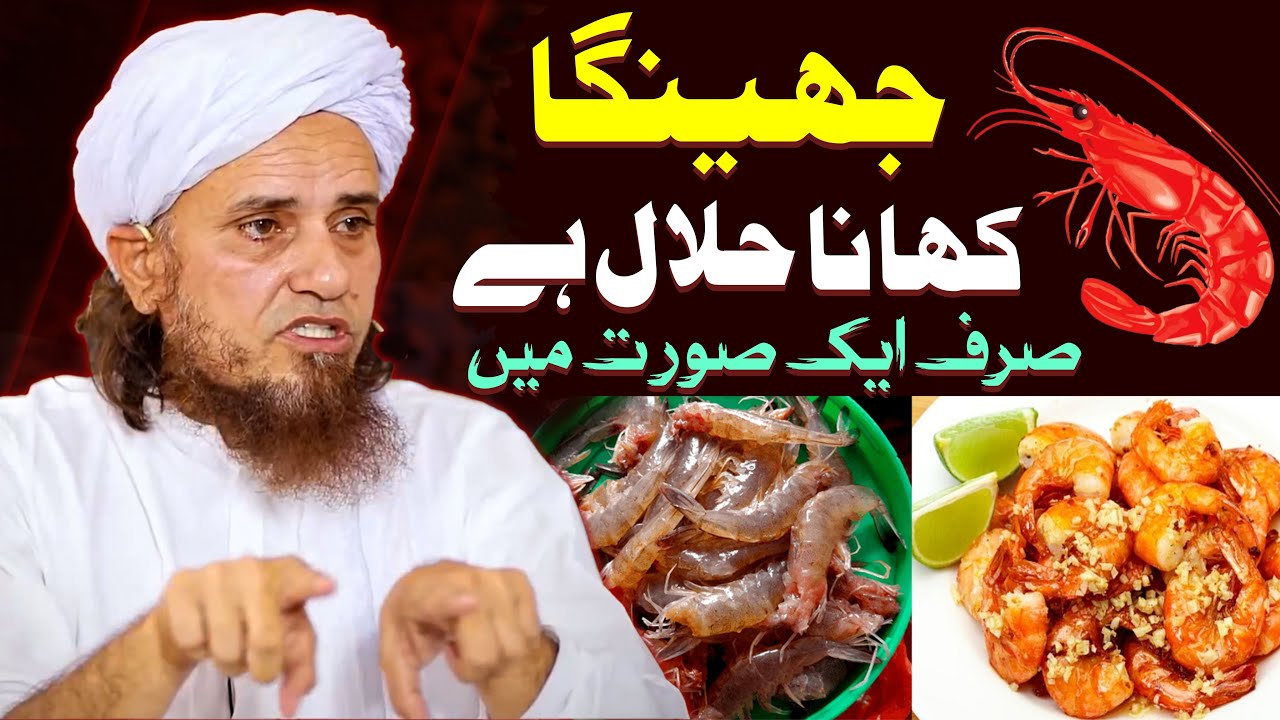 Jhinga Machli Halal Hai Magar Aik Soorat Mein | Mufti Tariq Masood ...