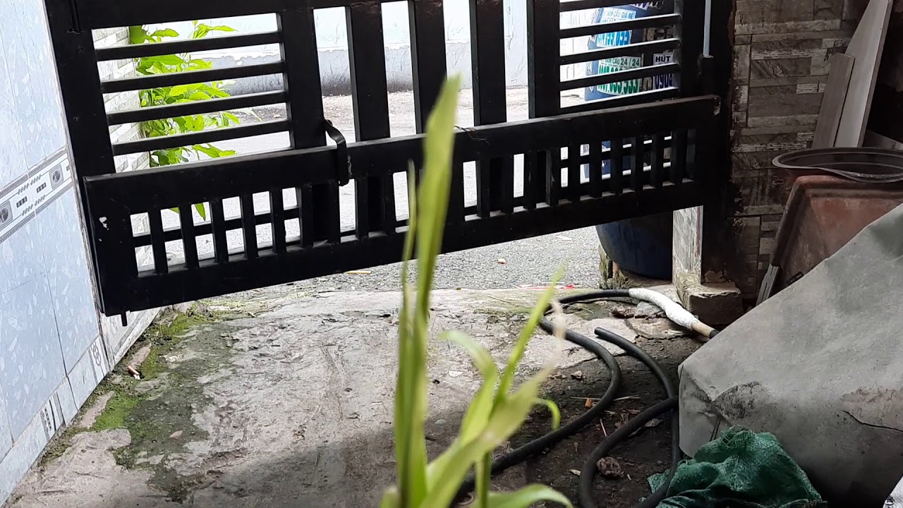 Test ful HD - YouTube