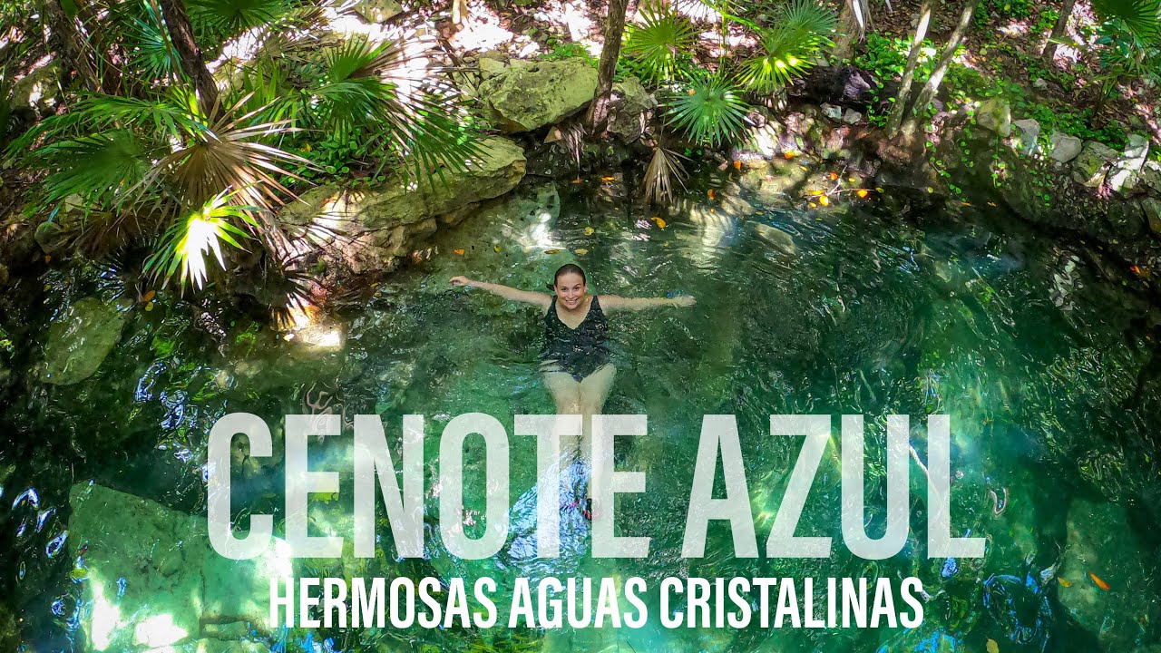 CENOTE AZUL en Tulum - hermosas aguas cristalinas ¿Cuanto cuesta ...