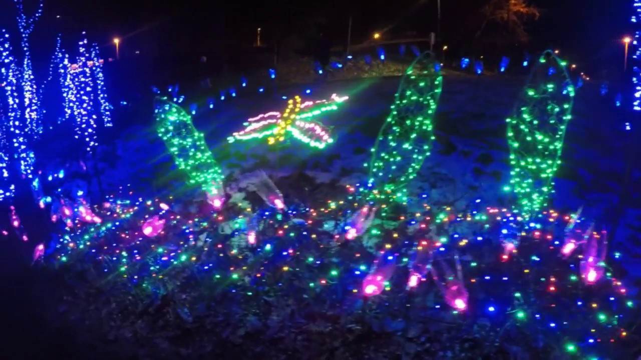 Lafarge lake, Christmas lights 2017, 4k, Coquitlam, BC, Canada - YouTube