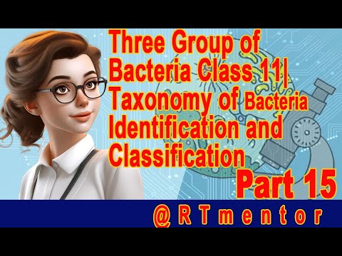 Three Group of Bacteria Class 11 Part 15 | Taxonomy of Bacteria ...