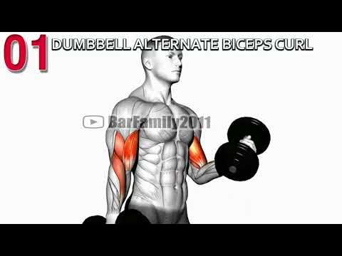DB BICEP CURL ALT - YouTube