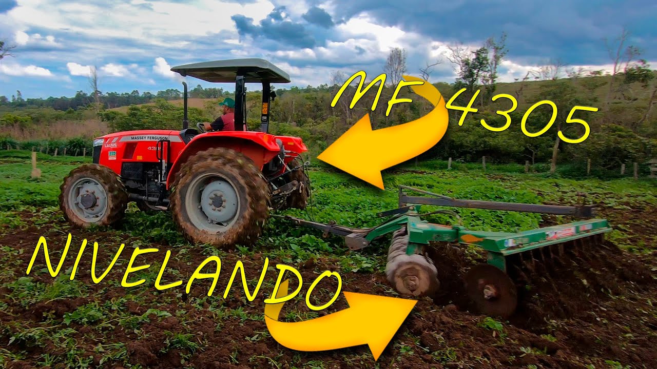 Massey Ferguson 4305 na grade niveladora 28 discos. Plantando Mombaça ...