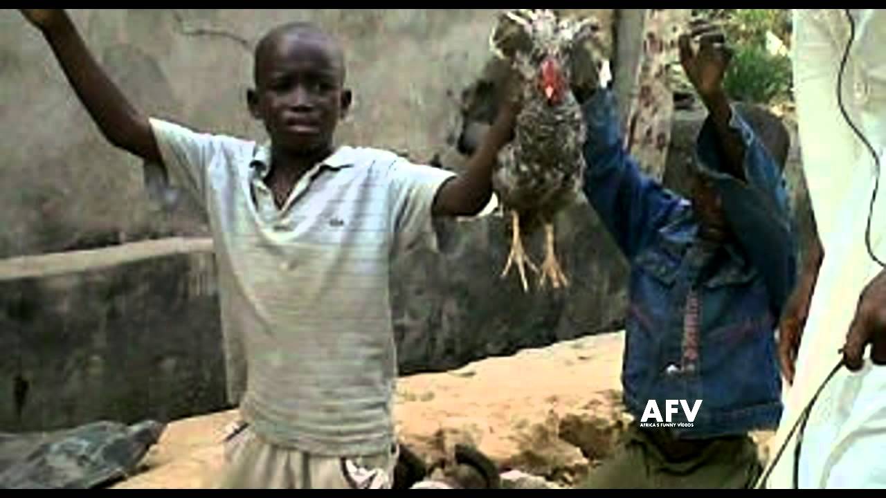 Two Underage Boys ARRESTED for Stealing a Chicken - YouTube
