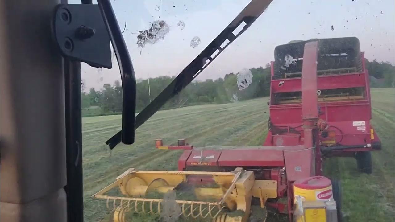 Chopping first cut! - YouTube
