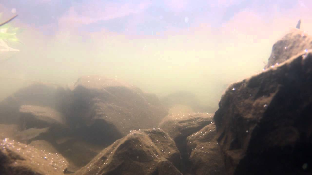 Stausee Spremberg Unterwasser - YouTube