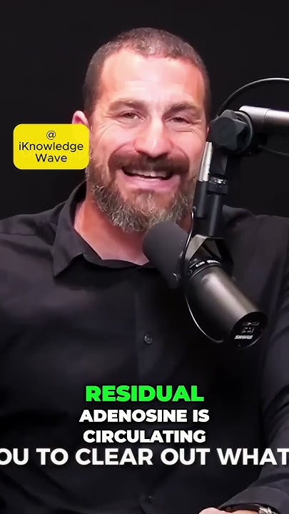 Optimize Your Day: Maximize Productivity and Improve Sleep with This Simple Morning Routine ...