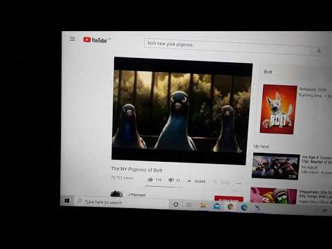 Bolt (2008) The Pigeons - YouTube