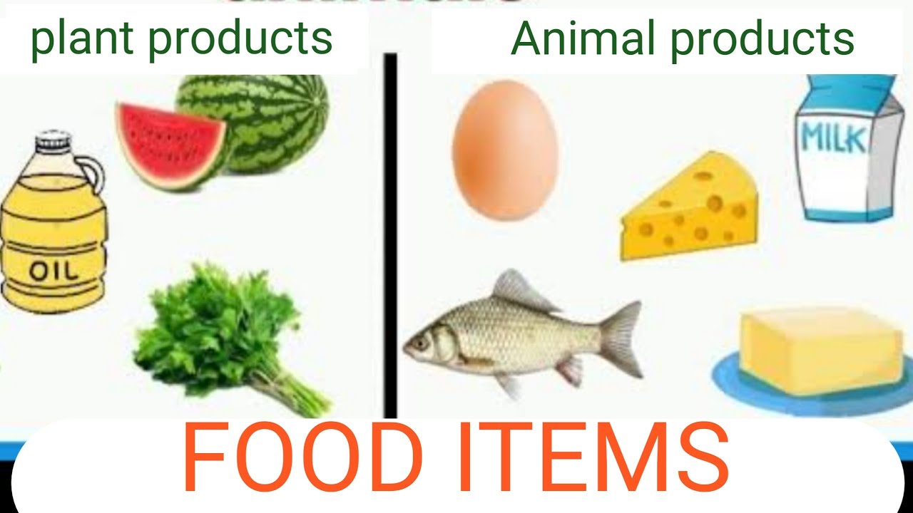 FOOD ITEMS, food items and source of food (plant products, animal ...