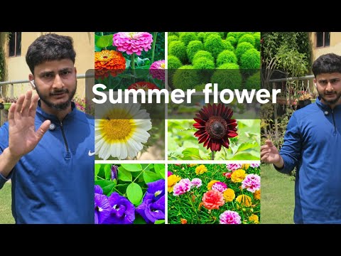 27/03/2025 Sanu #Rajdhani nursery #shamar plant collection #garmi ka ...