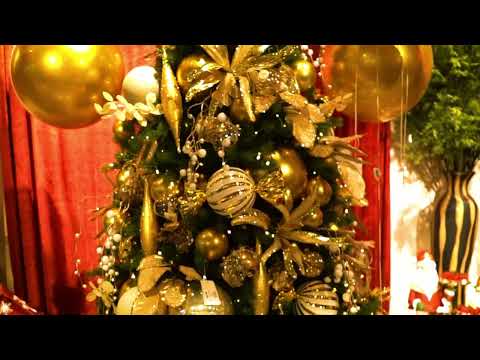 🎁Evde Yılbaşı Büyüsü! 🎄Ağaçlar & Parlayan Süsler Kuk'ta✨