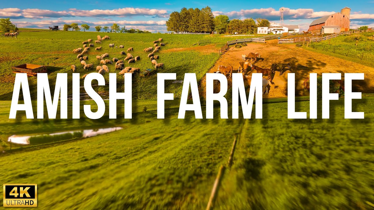 Amish Farm Life | 4K HDR Cinematic FPV Drone Tour - YouTube