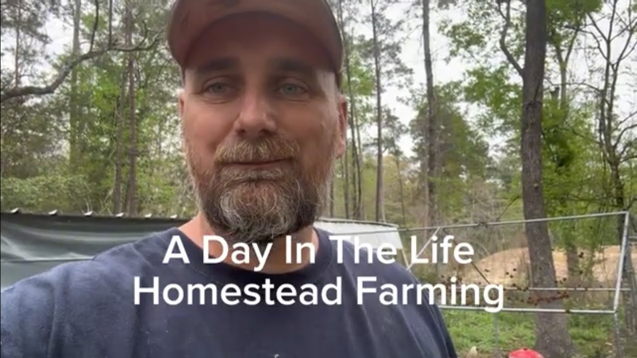 Texas Homesteading: A Day In The Life - YouTube