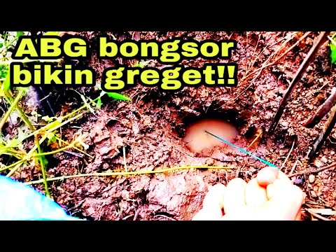 Mancing belut ABG bongsor