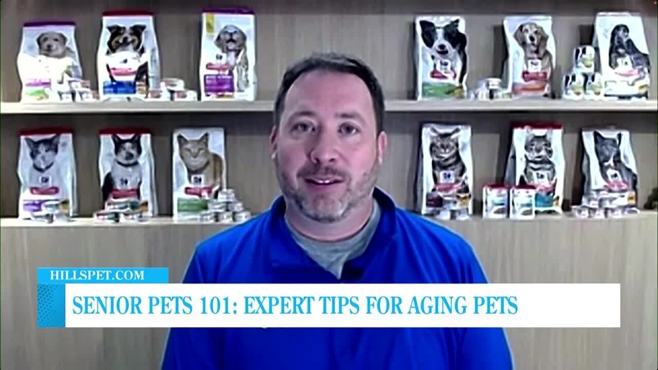 Senior Pets 101: Expert Tips for Aging Pets - YouTube