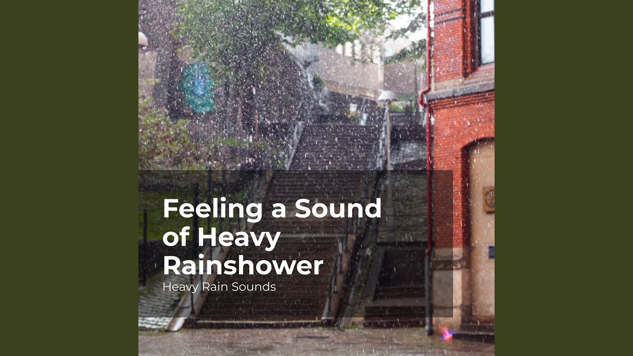 Rain Pelting Rapidly - YouTube