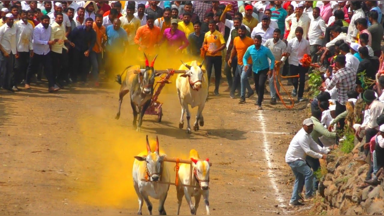 फायनल सम्राट रविभाऊ कडलक आणि D साम्राज्य ग्रुप जुगलबंदी १२.०९ मिली पाईट ...